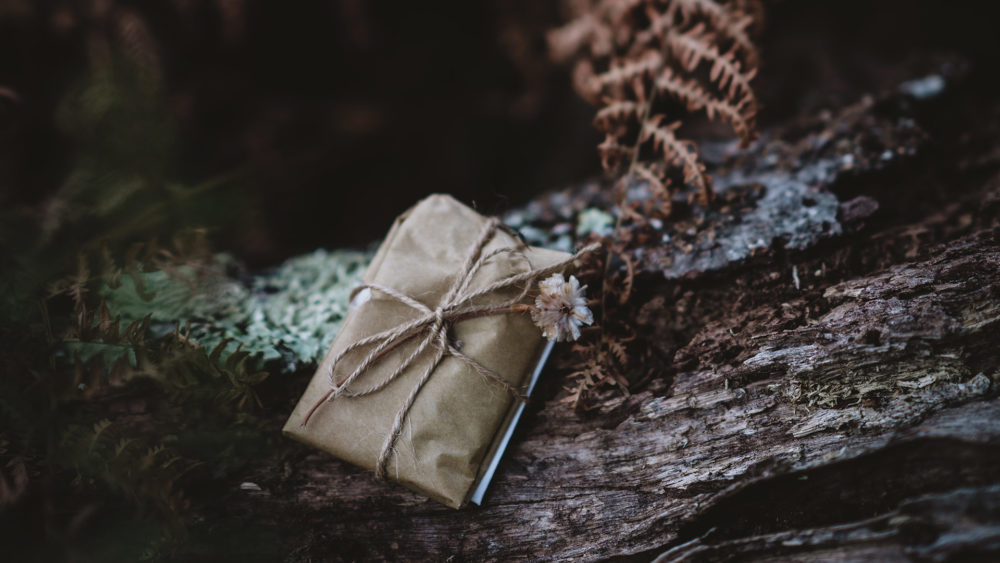 Suffering the Gift: Decolonizing the Holidays - The Seattle School of ...